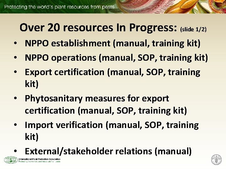 Foundational IPPC Training materials building for the future