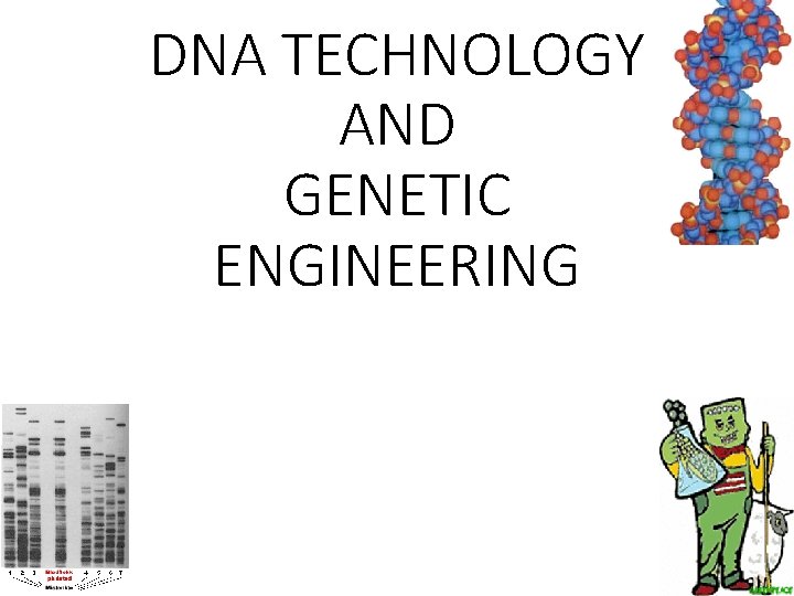 DNA TECHNOLOGY AND GENETIC ENGINEERING What are we