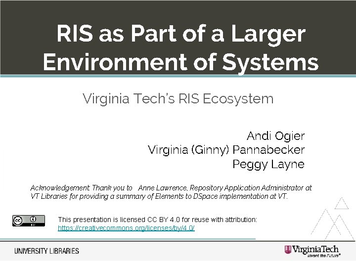 RIS as Part of a Larger Environment of