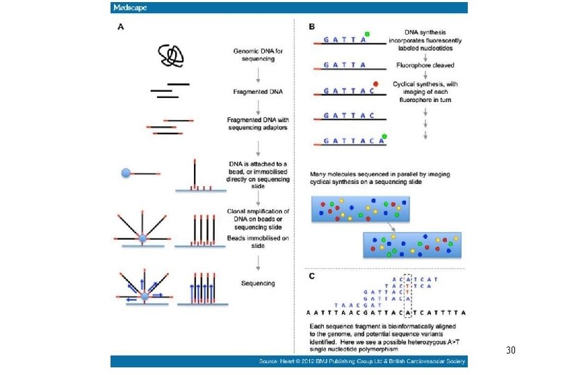 The Whole Genome Sequencing Revolution Martin Wiedmann Gellert