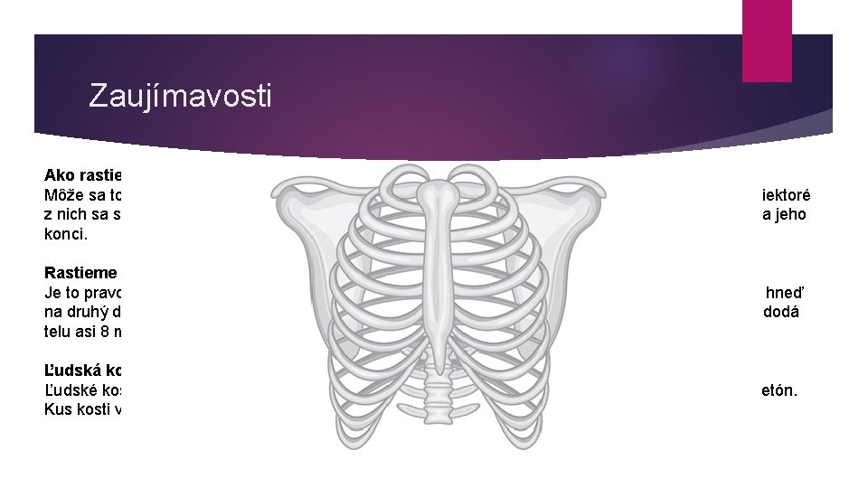 lovek a prroda Kosti a kostra PRVOUKA 2