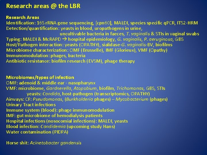 The LBR the dawn of 2016 I Overview