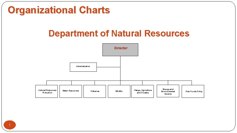 Organizational Charts Department of Natural Resources Director ...
