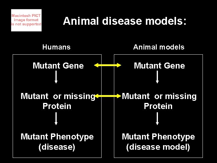 Linking Animal Models to Human Diseases Supported by