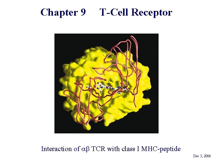 Chapter 9 TCell Receptor Interaction of ab TCR