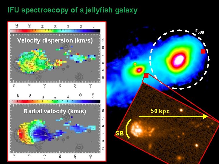 Dissecting rampressure stripping through integralfield spectroscopy of ...