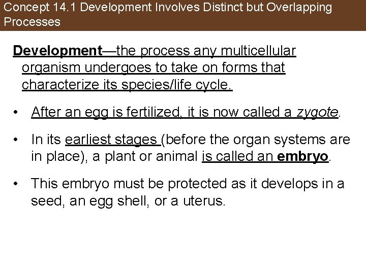 U 5 Embryonic Development Opening Question What do