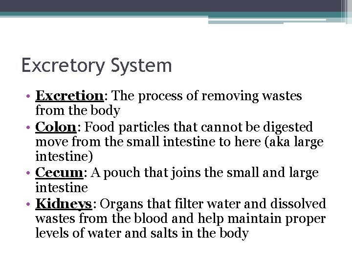 Digestive System Digestive system The body system that