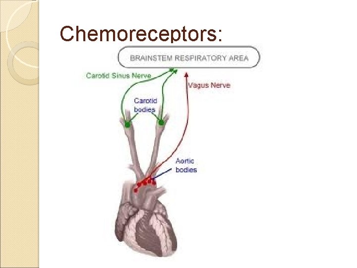 Arterial Blood Pressure1 Dr Eman El Eter Objectives