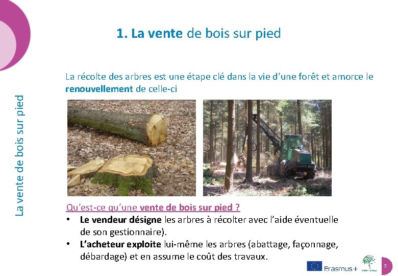 Conclure un contrat de vente de bois sur