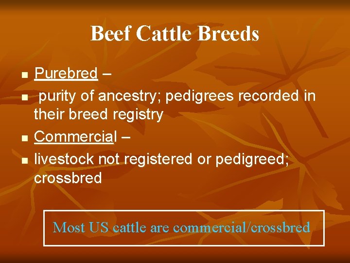 Beef Cattle and Industry Take notes on the