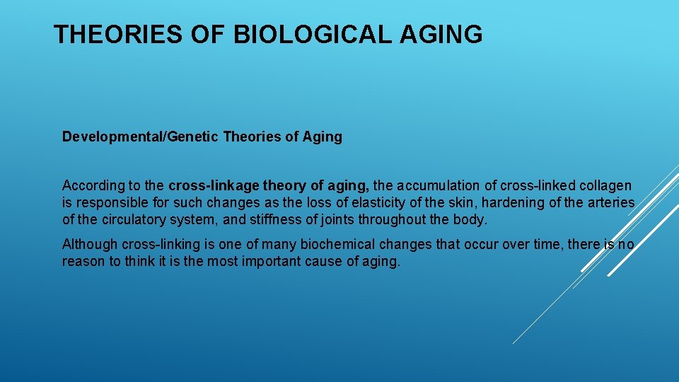 BIOLOGICAL PERSPECTIVES OF AGING CHAPTER OUTLINE Theories of
