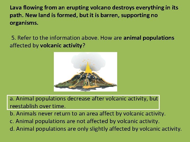 SURFIN THROUGH STAAR Session 6 Plants AnimalsSystems Ecology