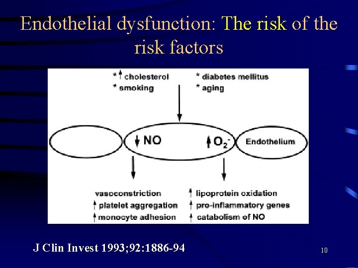 Diabetes From Endothelial Dysfunction to Overt Atherosclerosis 1