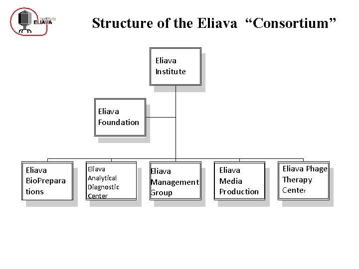 Commercialization strategy of Eliava Institute Short historical review