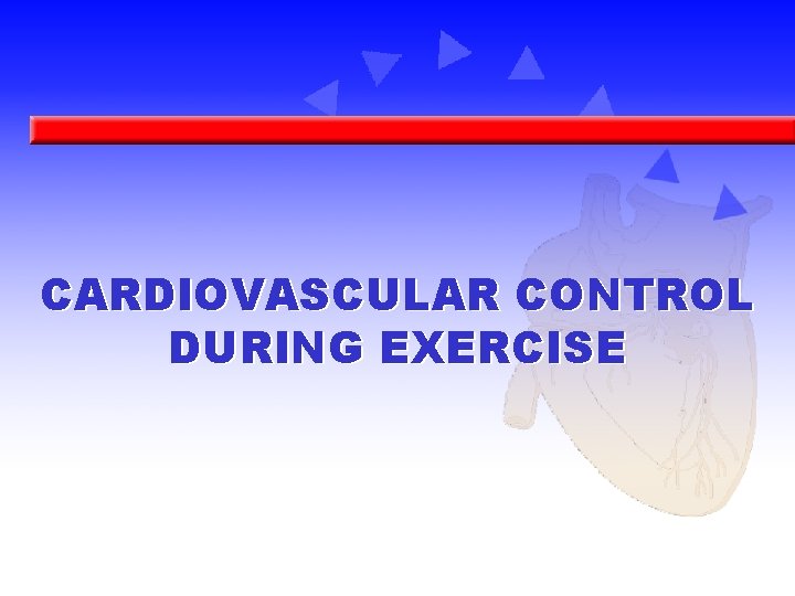 CARDIOVASCULAR CONTROL DURING EXERCISE Major Cardiovascular Functions w