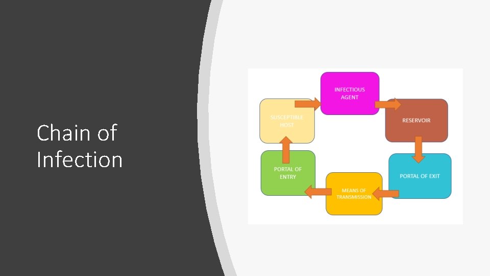 Chain of Infection Module 1 Part B Arthropods