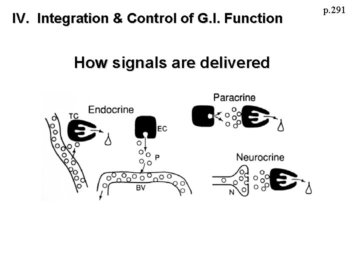 IV Integration Control of G I Function How