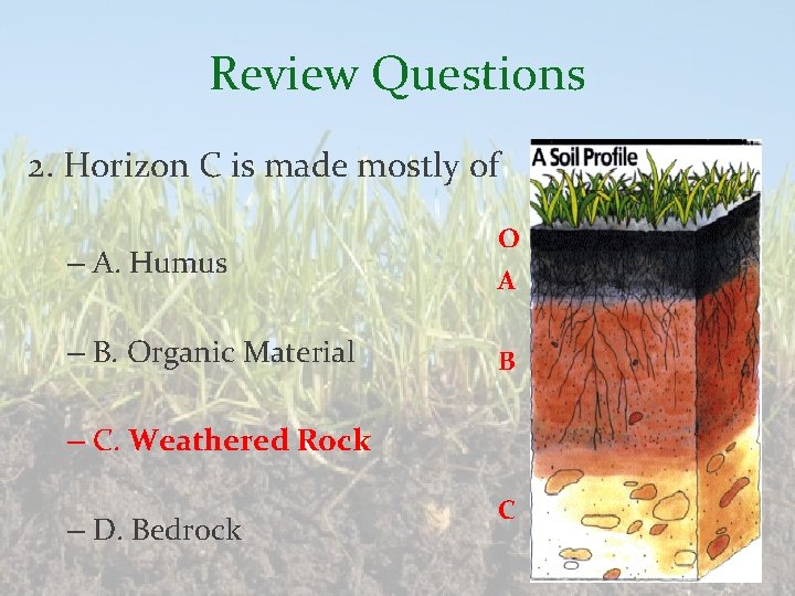 The Ground Beneath Our Feet What Makes Up