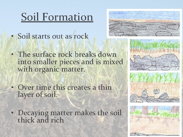 The Ground Beneath Our Feet What Makes Up