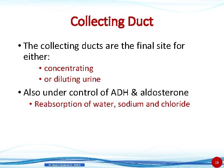 The Renal Function Lecture 20 Dr Mazen Alzaharna