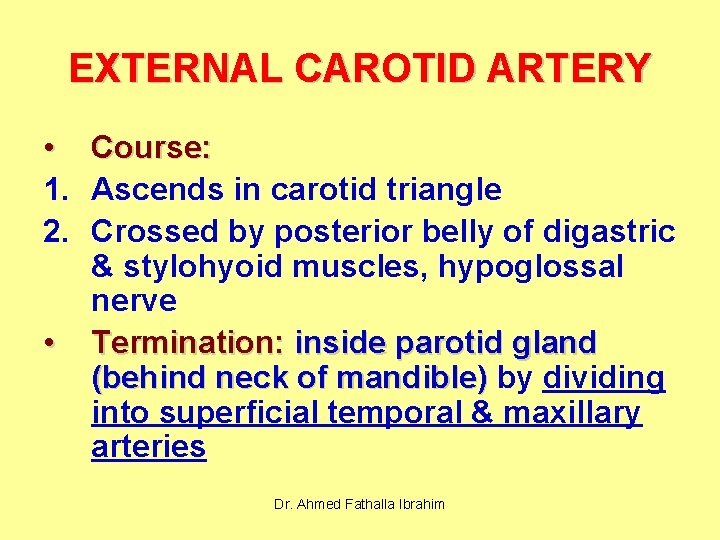 Dr Ahmed Fathalla Ibrahim ARTERIES OF NECK Dr