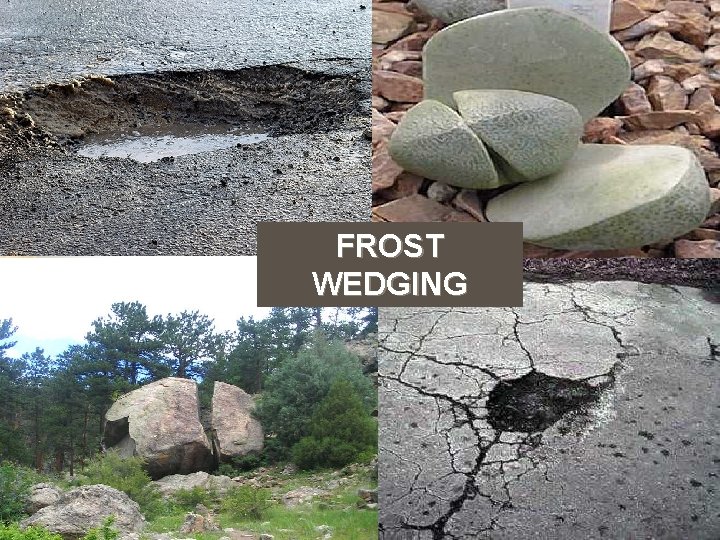 Weathering 11 14 14 Definition n Weathering process