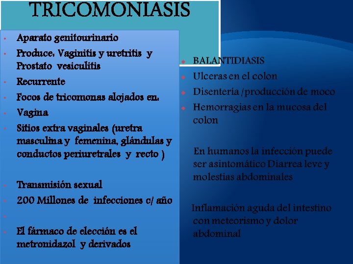 FARMACOS ANTIPROTOZOOS AMEBIASIS Ataca al 10 de la