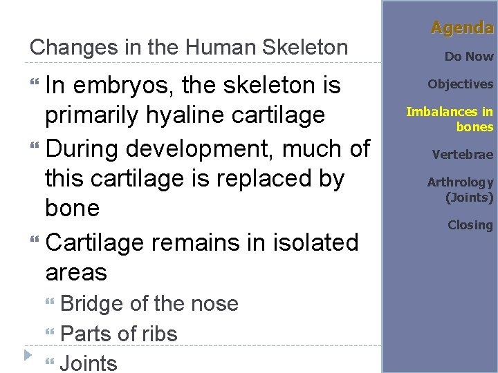 Skeletal System Do Now What are the five
