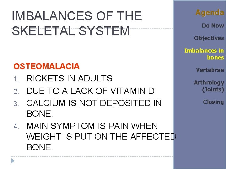 Skeletal System Do Now What are the five