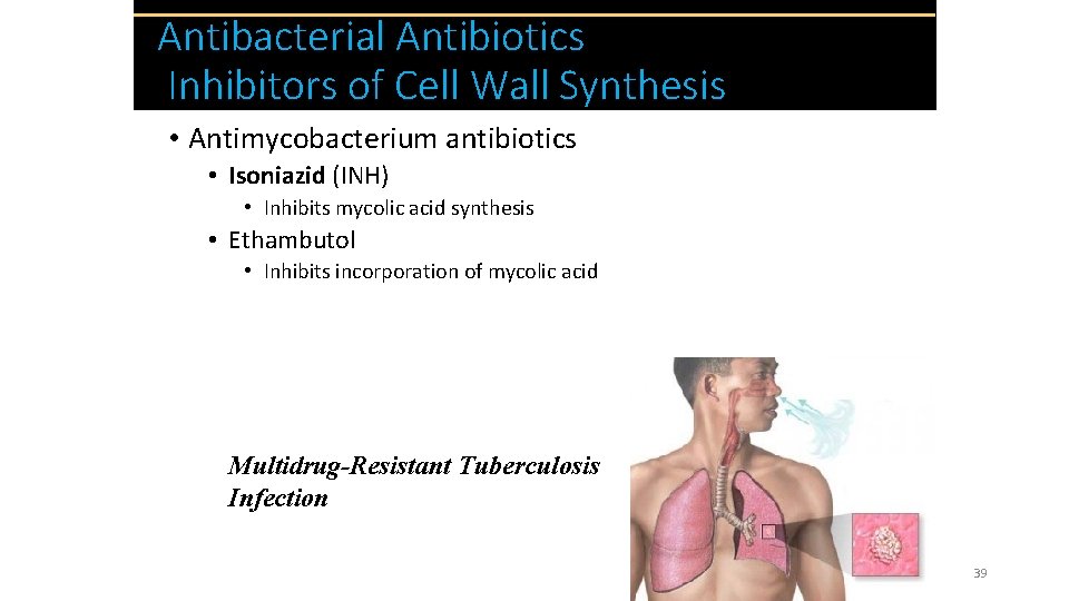 Antibiotic resistance criteria Komal Pareek 1 Key Terms
