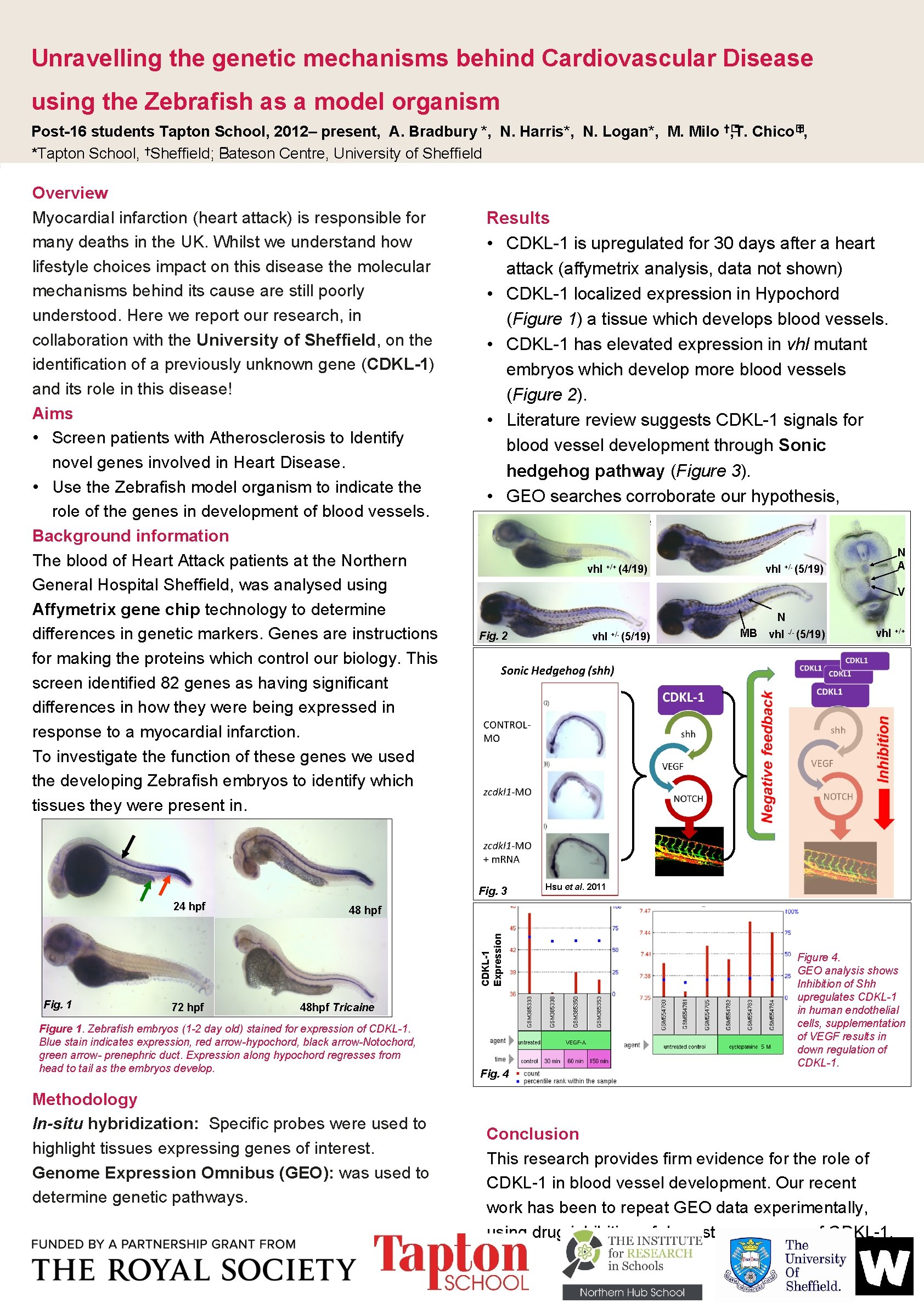 Unravelling the genetic mechanisms behind Cardiovascular Disease using