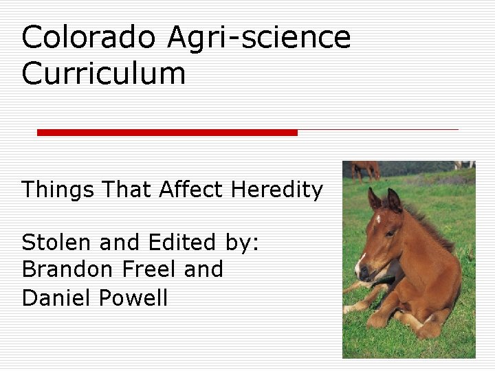 Colorado Agriscience Curriculum Things That Affect Heredity Stolen