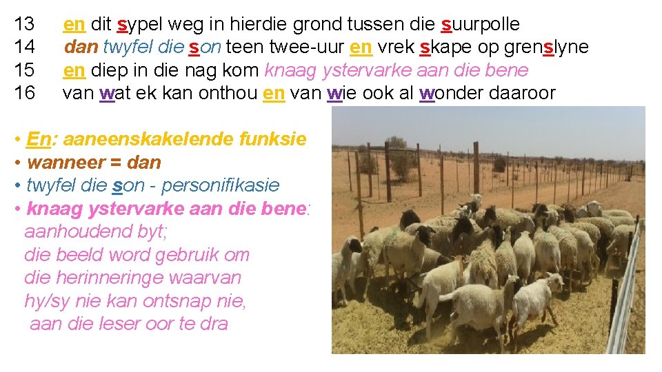 Plaasroman II Toast Coetzer Plaasroman I Hoekom is