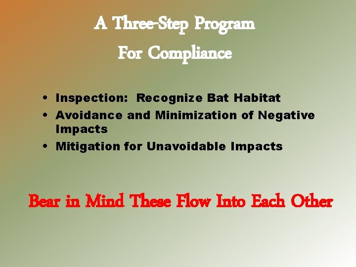 Bridging the Gap Between Bats and Transportation Projects