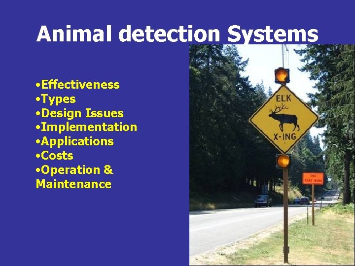 Animal detection Systems Effectiveness Types Design Issues Implementation