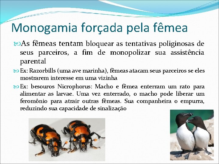 Sistemas de acasalamento Sistemas de acasalamento Mating systems