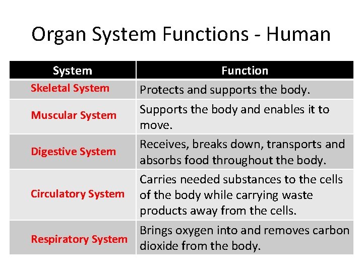 Organ Systems Levels of Organization Plants and Animals