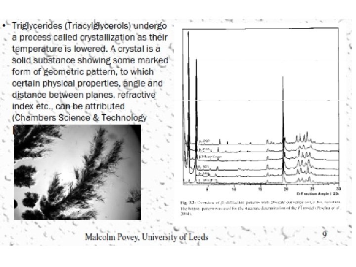 Microstructure of Fat Crystal FATS At room temperature