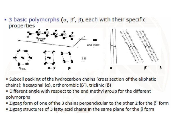 Microstructure of Fat Crystal FATS At room temperature