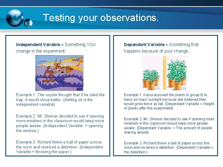 Grade 7 Science Pictionary Dictionary Ms WolfeMr SkinnerMs