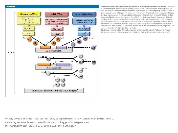 Weber Bernhard H F Issa Peter Charbel Pauly