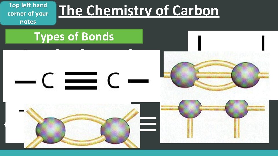 Biomolecules MOLECULES OF LIFE Top left hand corner