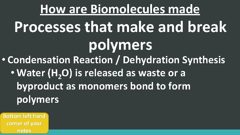 Biomolecules MOLECULES OF LIFE Top left hand corner