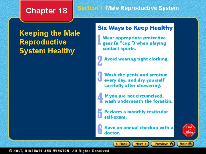 Chapter 18 Section 1 Male Reproductive System Bellringer