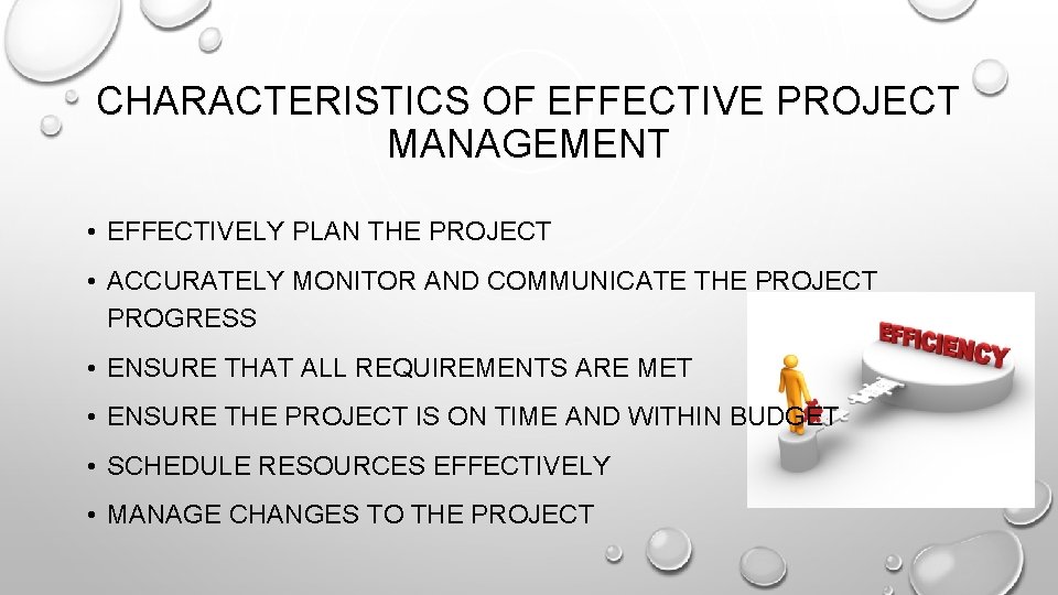 PROJECT MANAGEMENT Understanding Project Management principles NOVEMBER ...