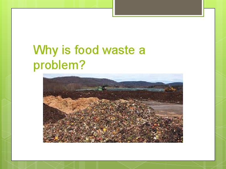 Food Waste By Andrea Loreto Why is food