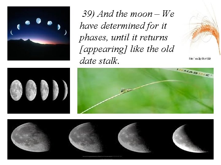 Surah Yasee n v 37 40 37 And