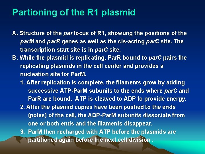Partioning of the R 1 plasmid A Structure