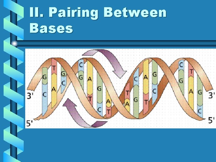 Unit Genetics Lesson DNA and DNA Replication Agricultural